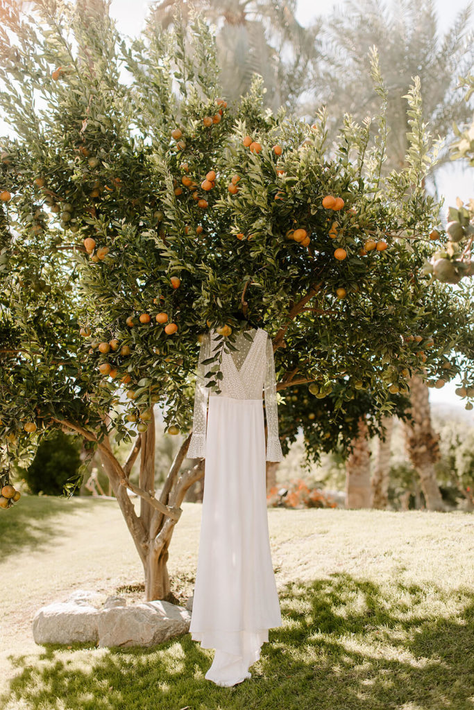Our Citrus Themed Wedding in Palm Springs, California - Kaylchip
